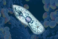 Index of /news/2019/img