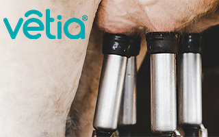 rumiNews Especial Salud y Bienestar en el Ordeño