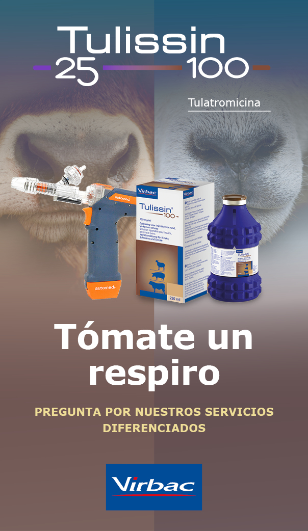 Index of /wp-content/themes/voice-child/esp-latam/img