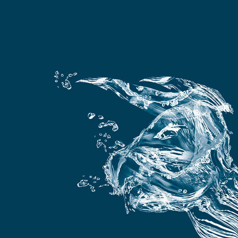 Index of /wp-content/themes/voice-child/esp-latam/img