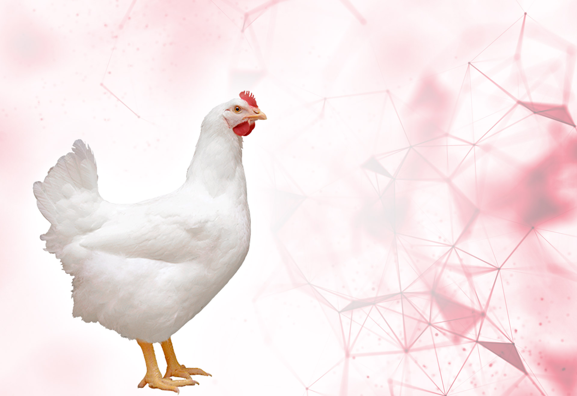 Index of /wp-content/themes/voice-child/esp-latam/img