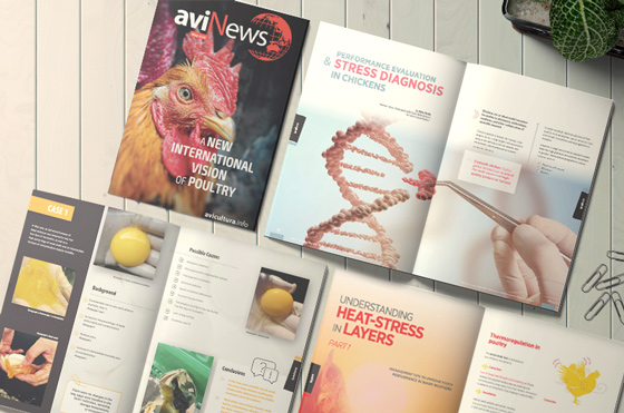 Index of /wp-content/themes/voice-child/esp-latam/img