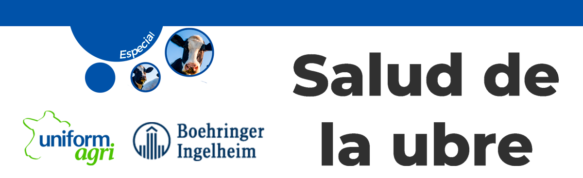 Index of /wp-content/themes/voice-child/esp-latam/img